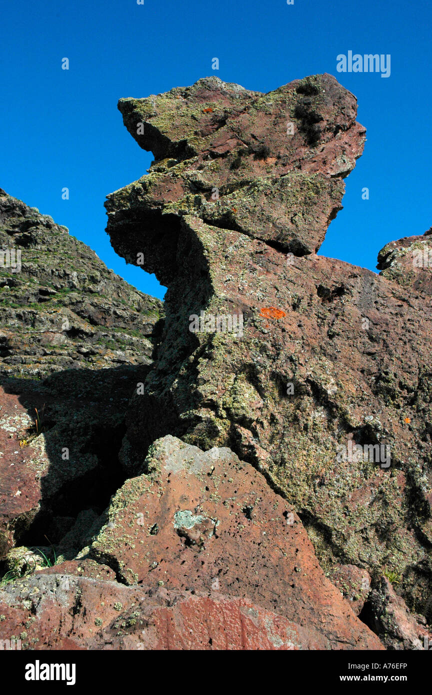 Anden verde hi-res stock photography and images - Alamy