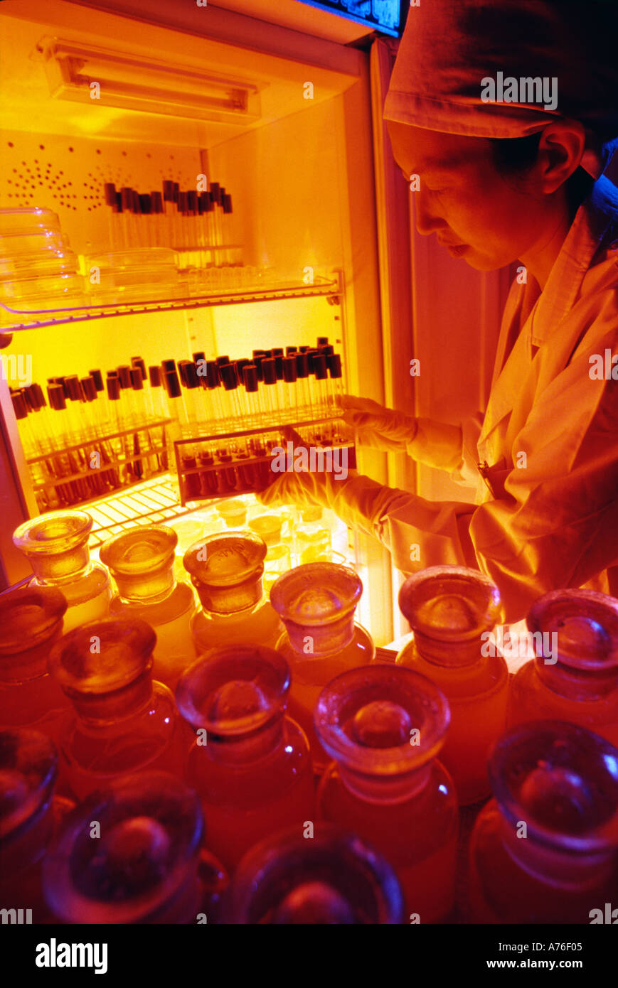 Laboratory fish processing factory Stock Photo - Alamy