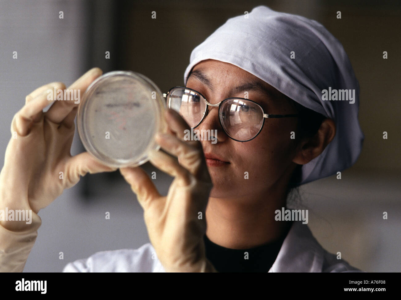 Laboratory fish processing factory Stock Photo - Alamy