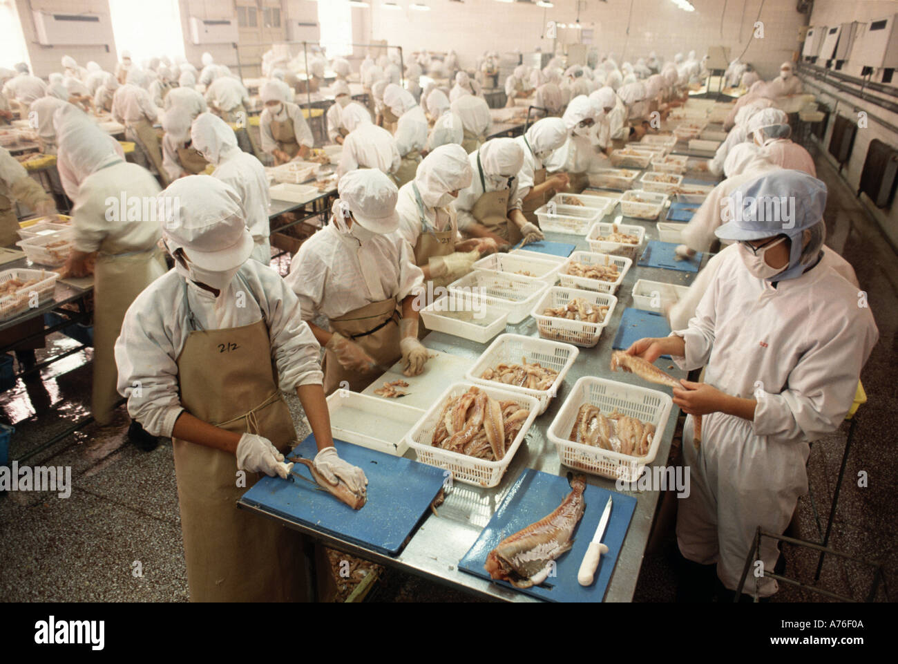 Fish processing factory Stock Photo - Alamy