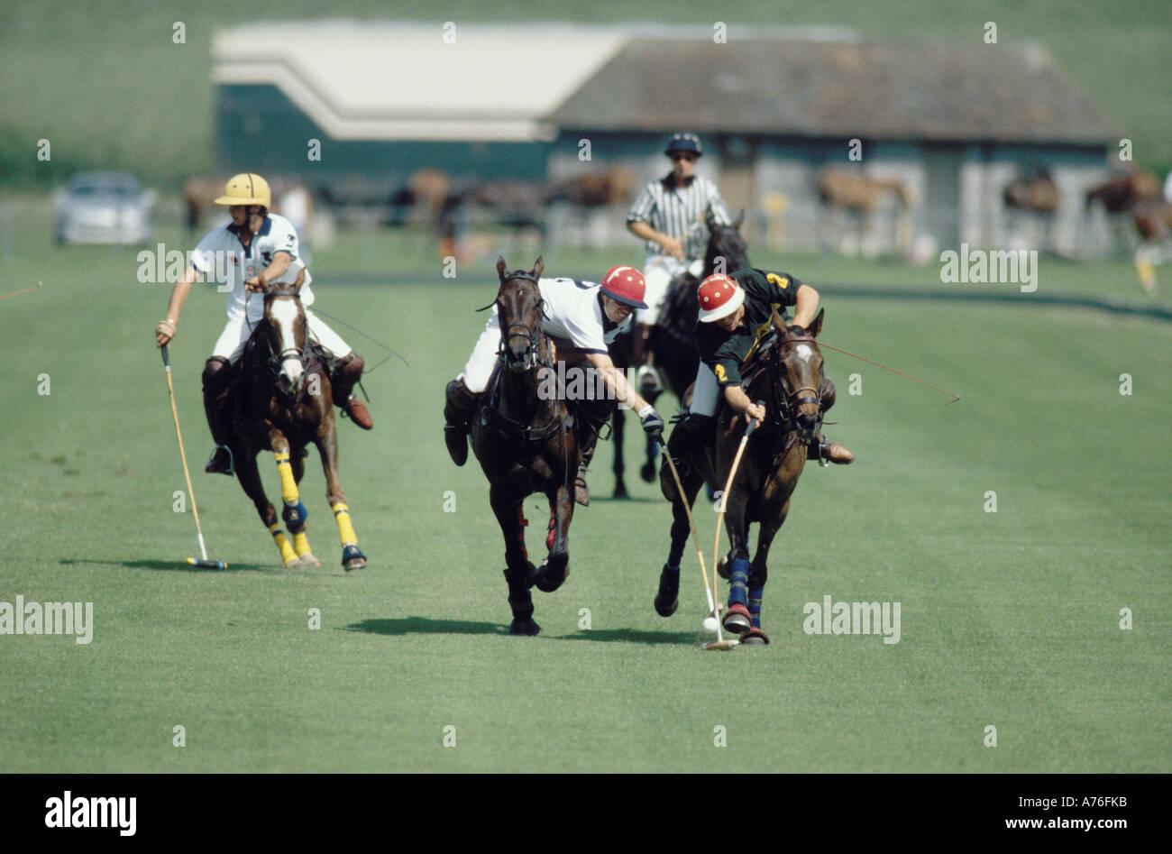 The Challenge - Equestrian Polo Match Stock Photo - Alamy