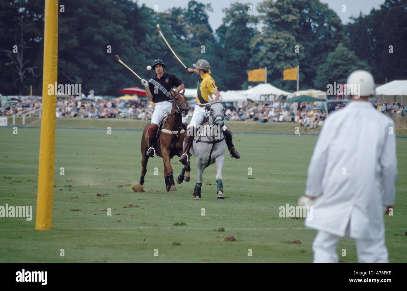 Polo players in green hi-res stock photography and images - Alamy