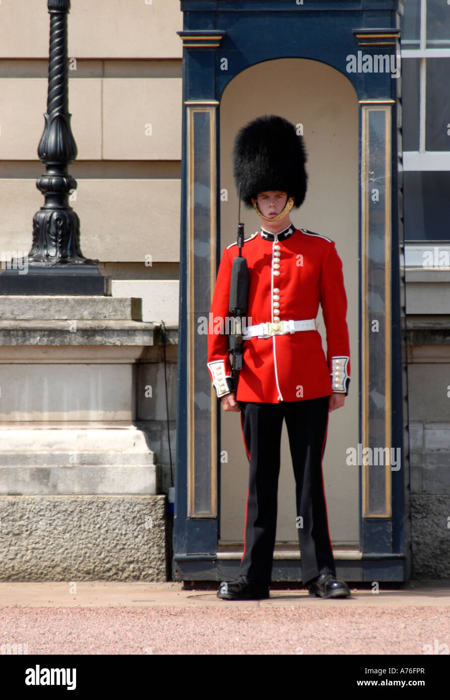 Guard in a sentry box at Buckingham Palace London Stock Photo - Alamy