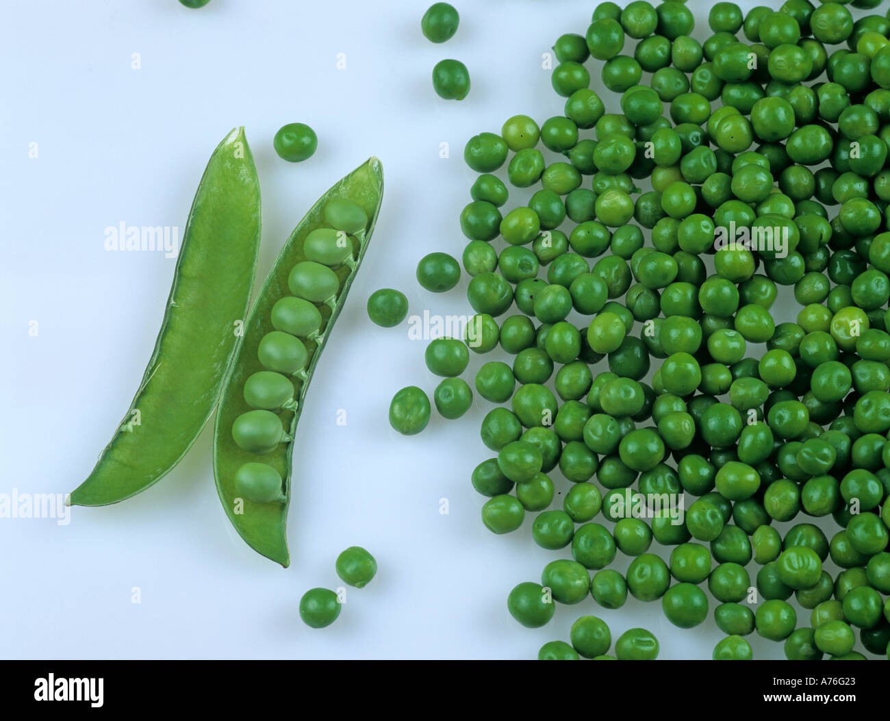 Erbse Erbsen Pea Peas Stock Photo - Alamy