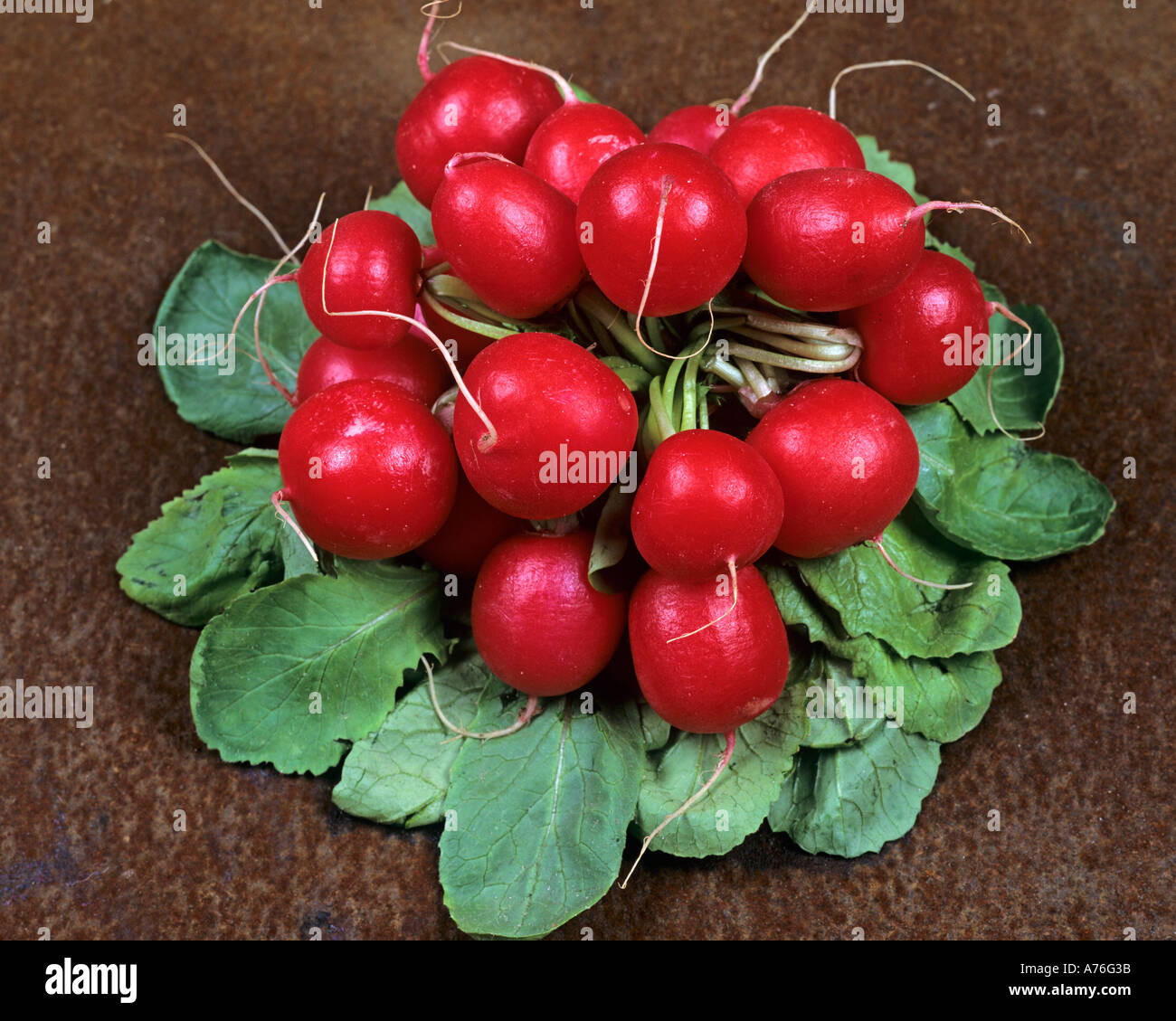 Radieschen garten hi-res stock photography and images - Alamy