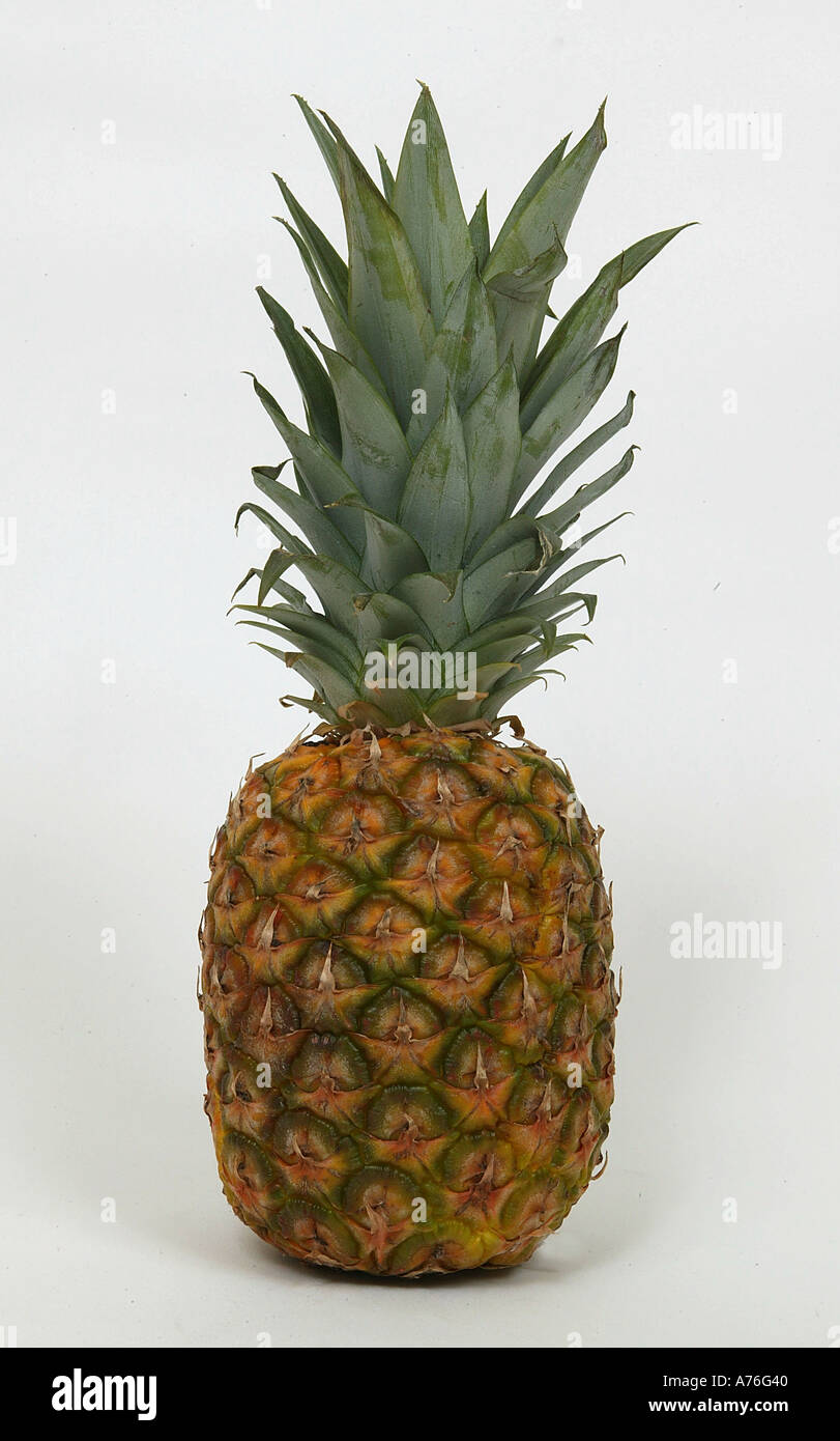 Pineapple Picture by Barry Bland Stock Photo - Alamy