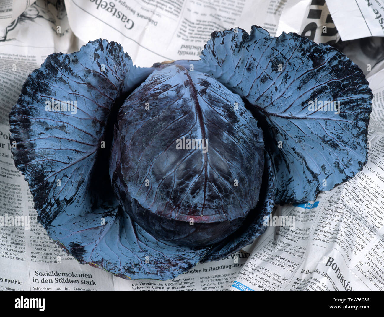Kohl essen hi-res stock photography and images - Alamy
