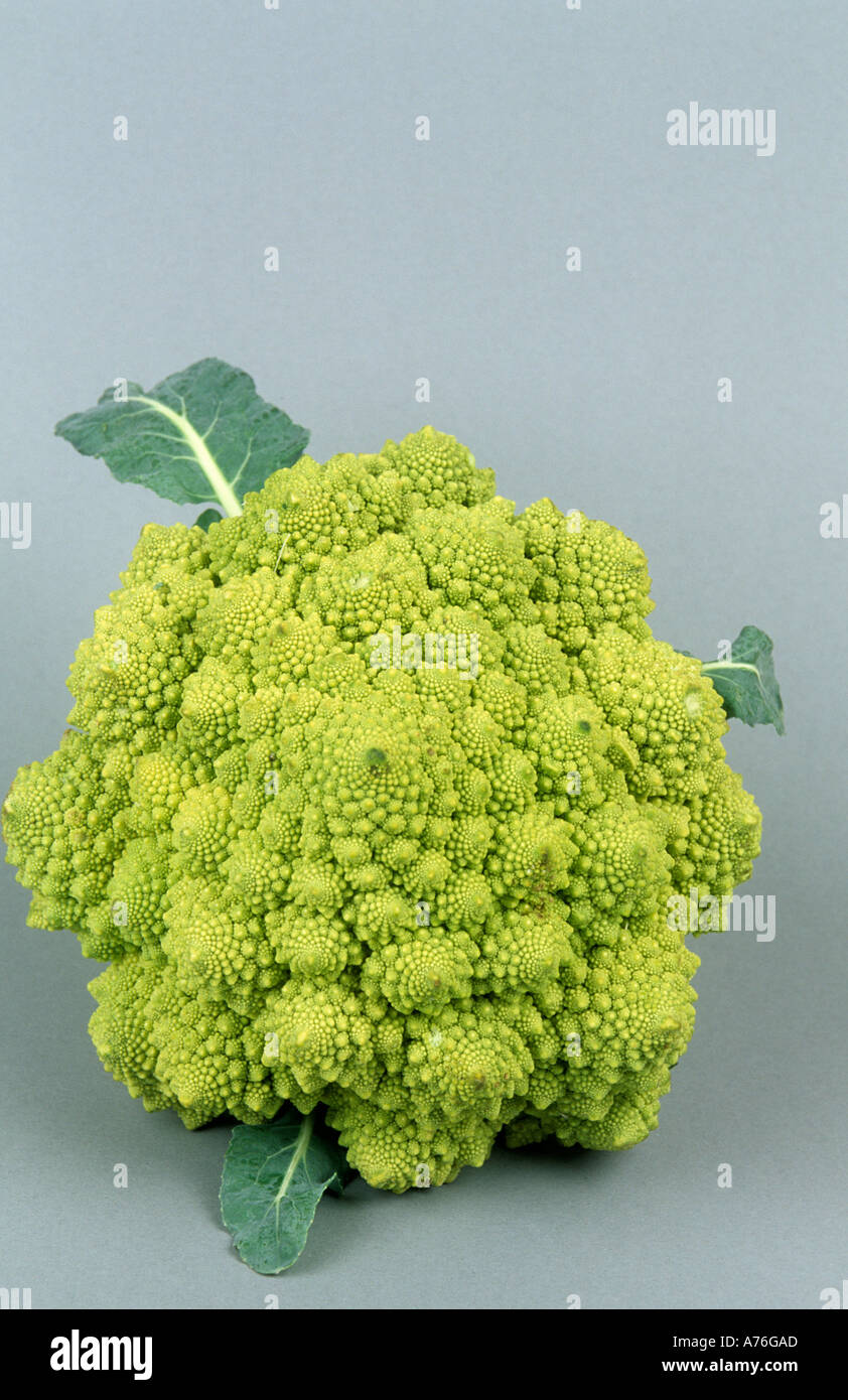 Cabbage Kohl Romanesco Stock Photo - Alamy