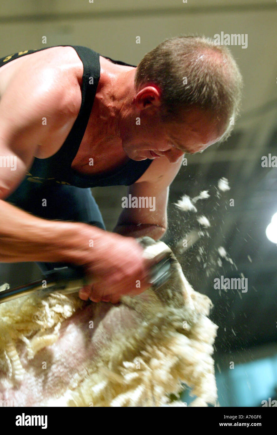 Golden shears hi-res stock photography and images - Alamy