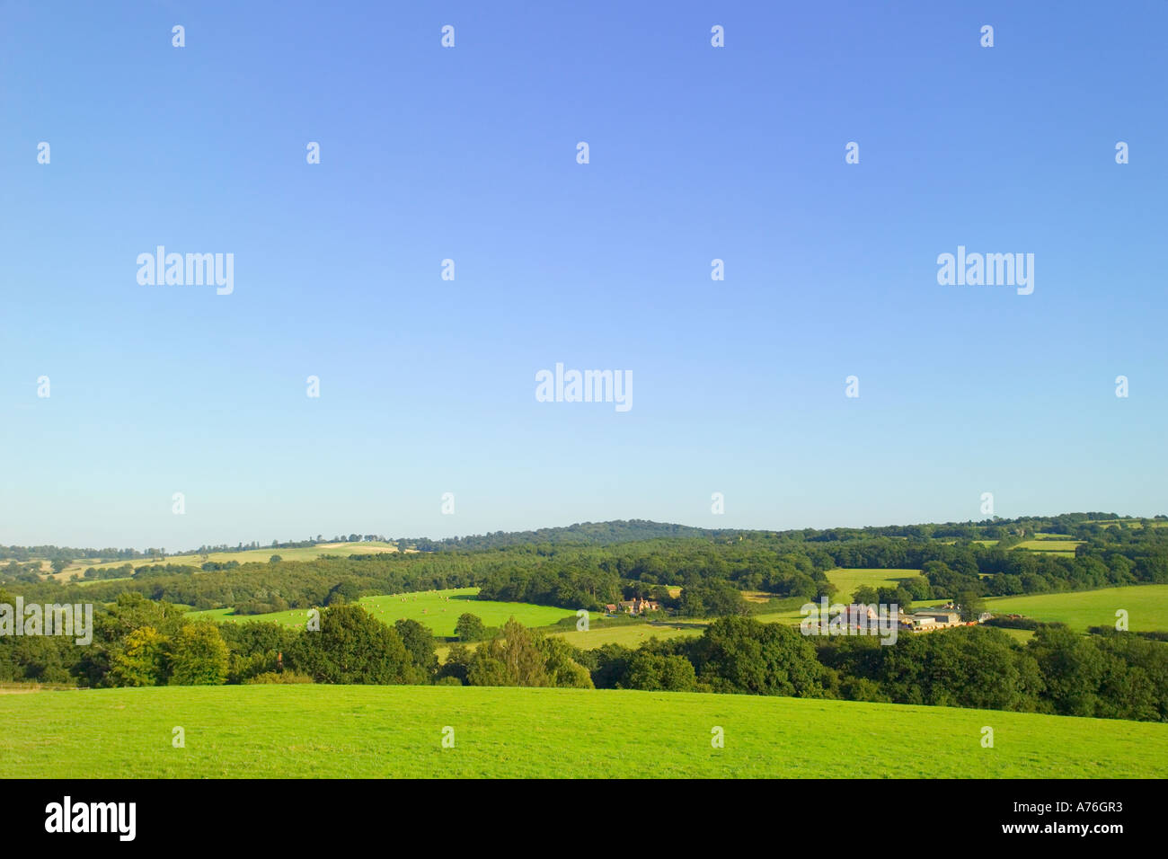 Typical English countryside scene of green fields and blue sky Stock ...