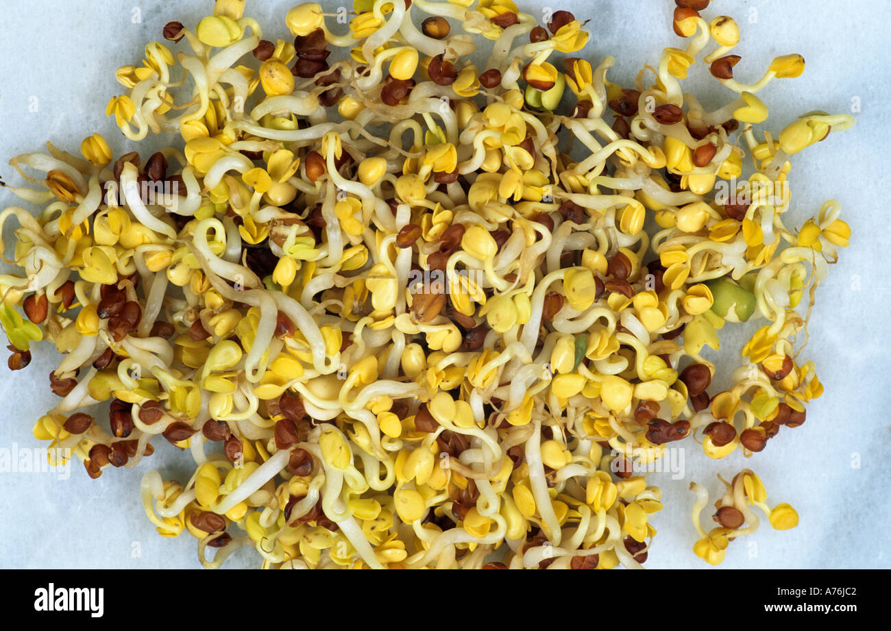 Exotic gemuese hi-res stock photography and images - Alamy