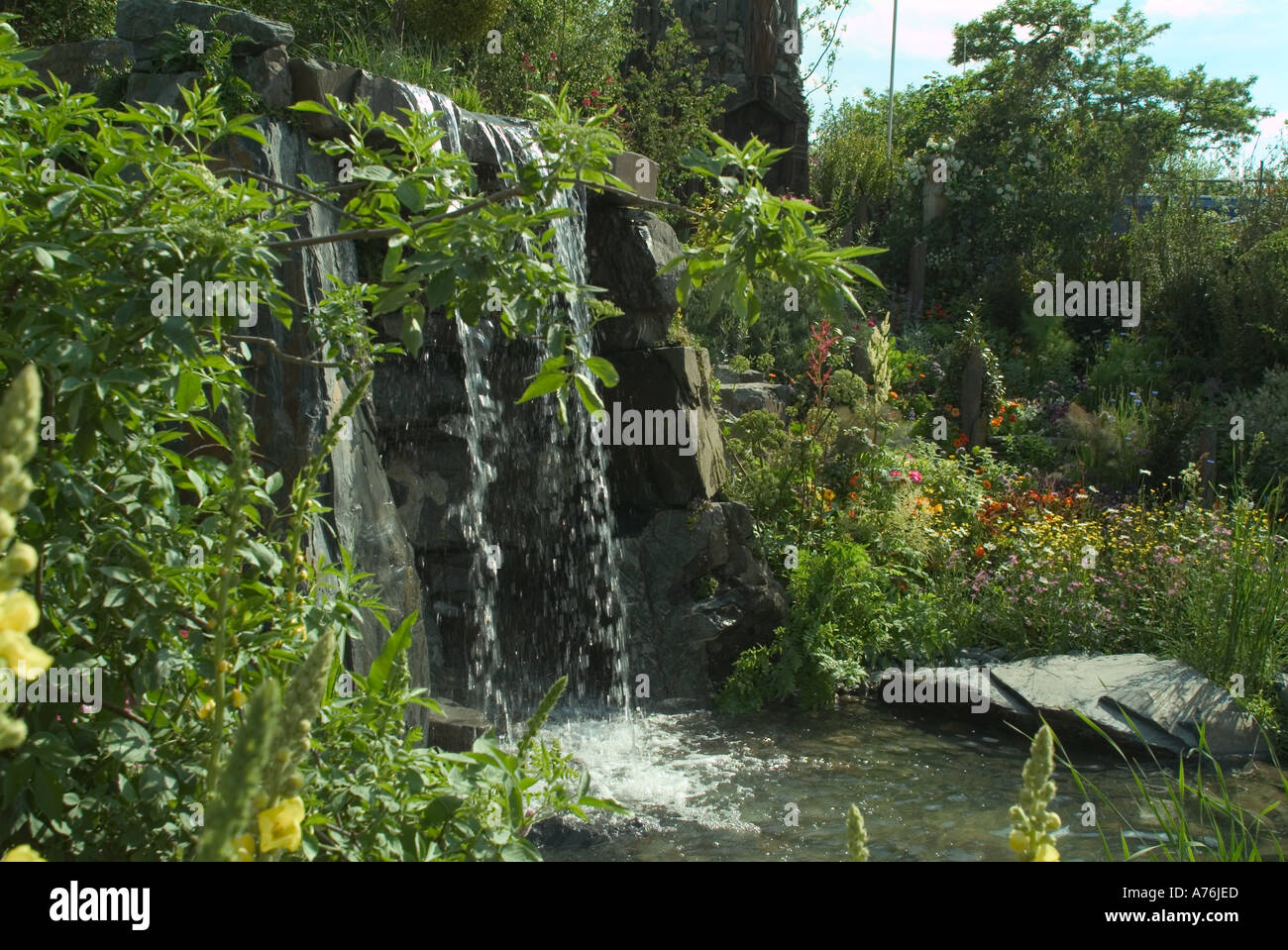 Merlin to medicine hi-res stock photography and images - Alamy