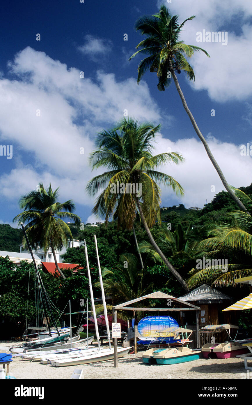 Palm trees at Cane Garden Bay Tortola Island British Virgin Islands ...