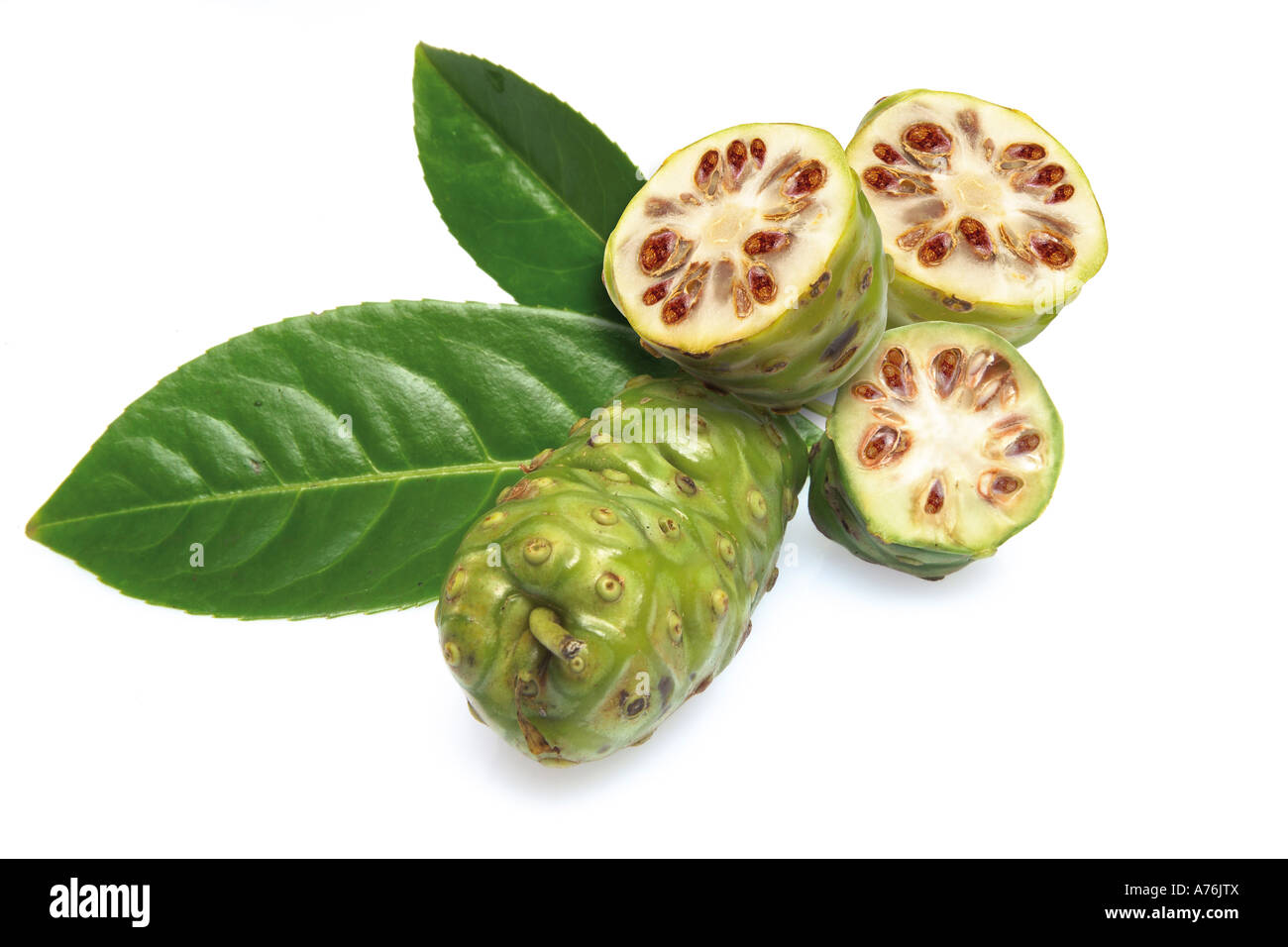 Noni fruits (Morinda Citrifolia Stock Photo - Alamy