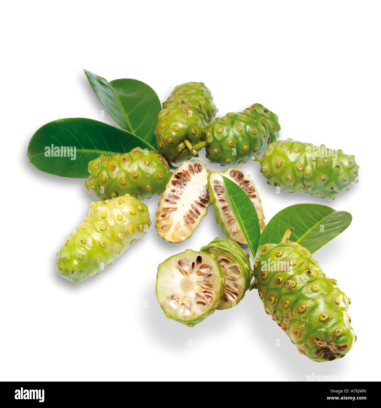 Medicinal medical plant plants Cut Out Stock Images & Pictures - Alamy