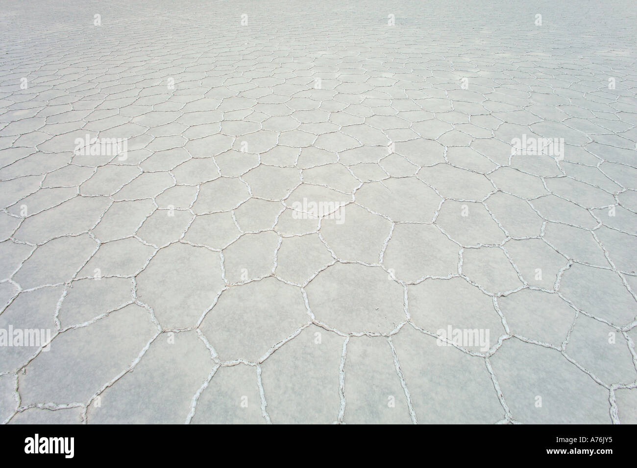 Close view of the texture and patterns on the surface of the Bolivia ...