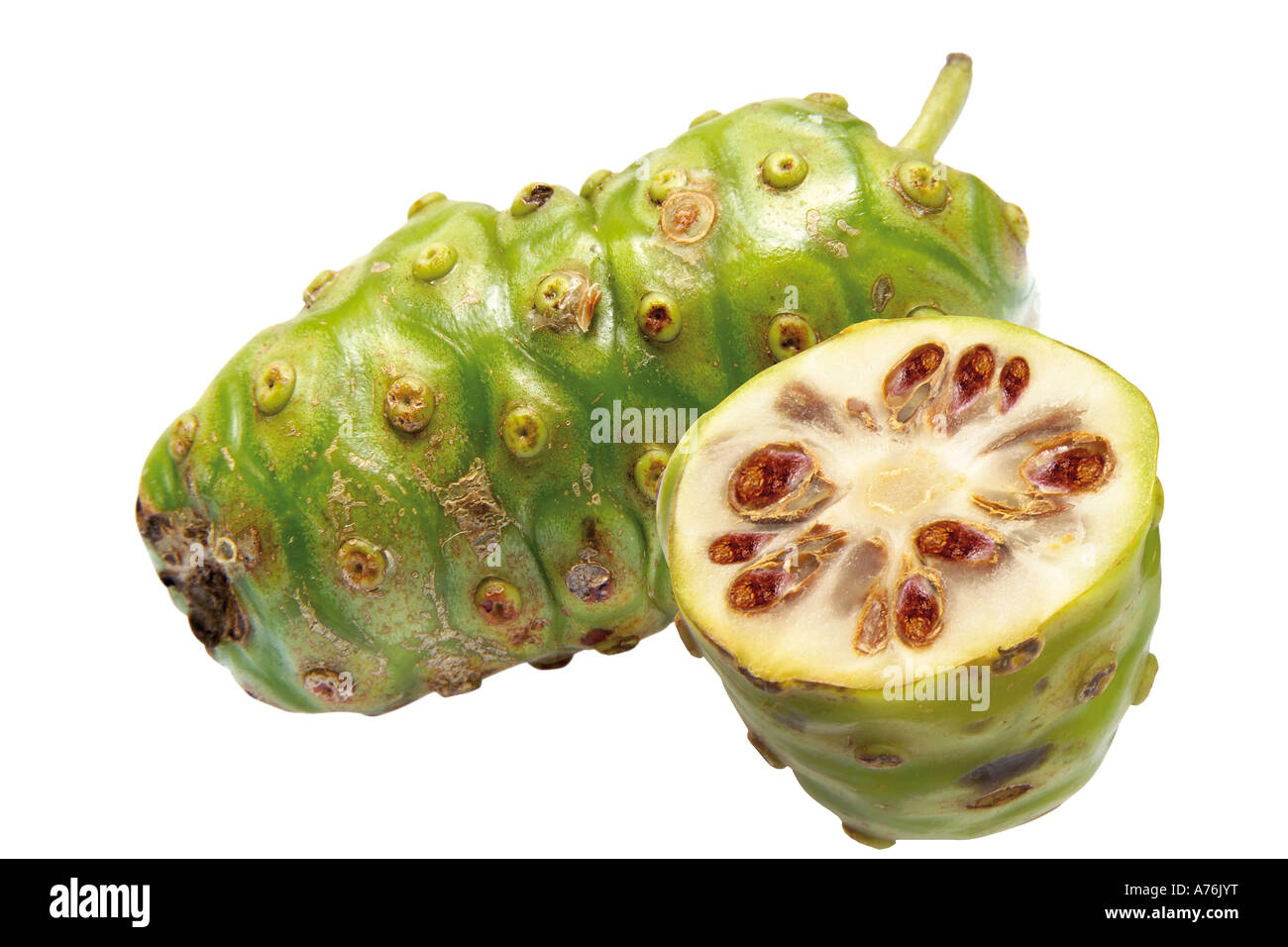 Noni fruits (Morinda Citrifolia), close-up Stock Photo - Alamy