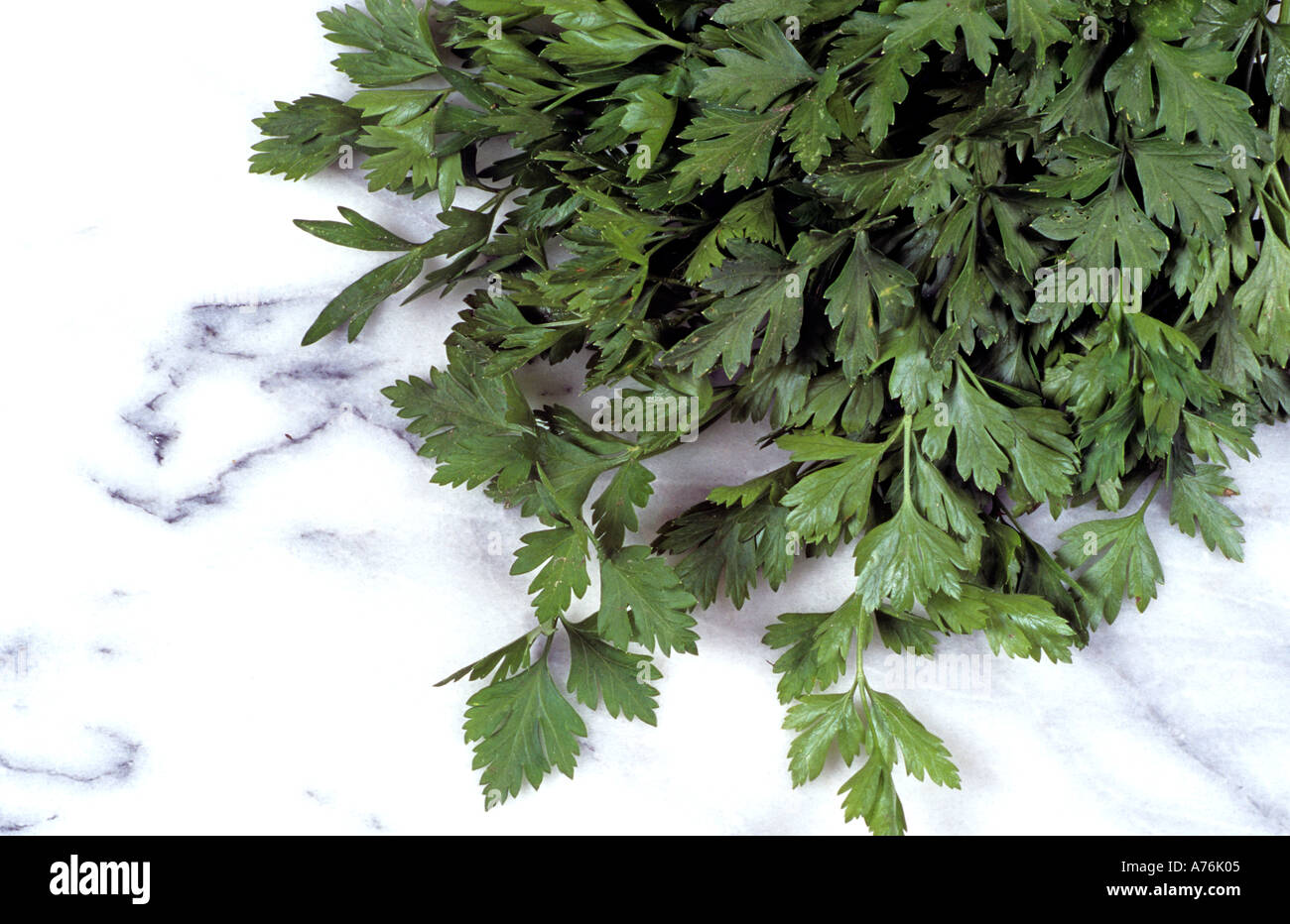 Petersilie Garten High Resolution Stock Photography and Images - Alamy