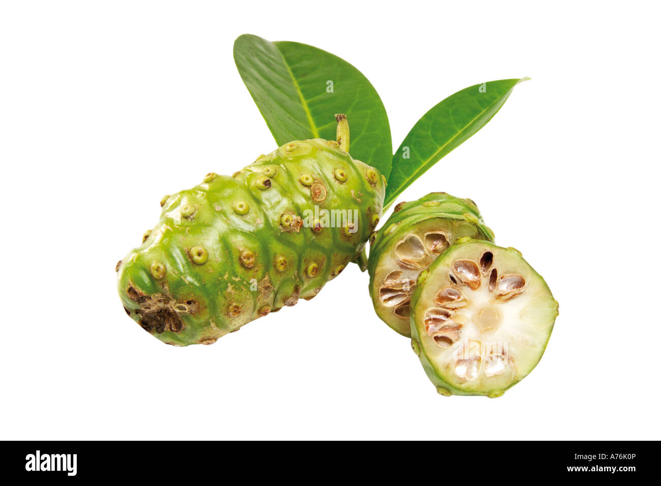 Noni fruits (Morinda Citrifolia Stock Photo - Alamy