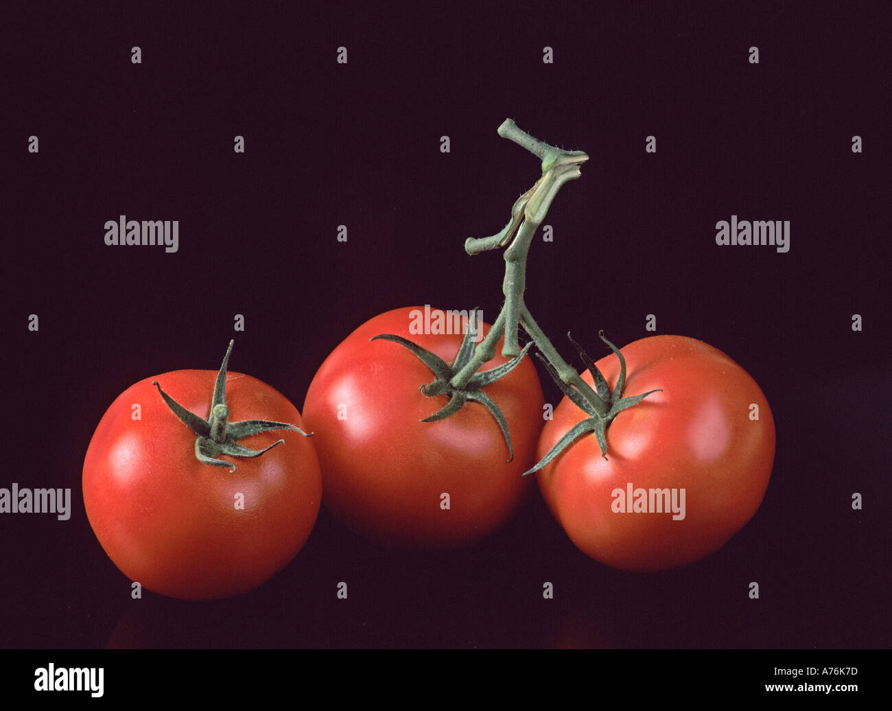 Hintergrund tomate hi-res stock photography and images - Alamy