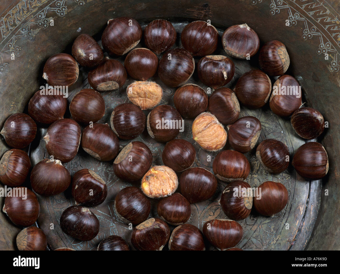Maronen hi-res stock photography and images - Alamy