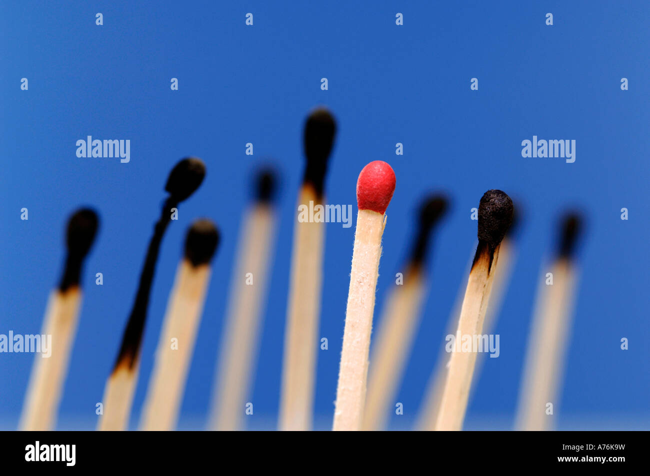 Red match, burned matches in background Stock Photo - Alamy