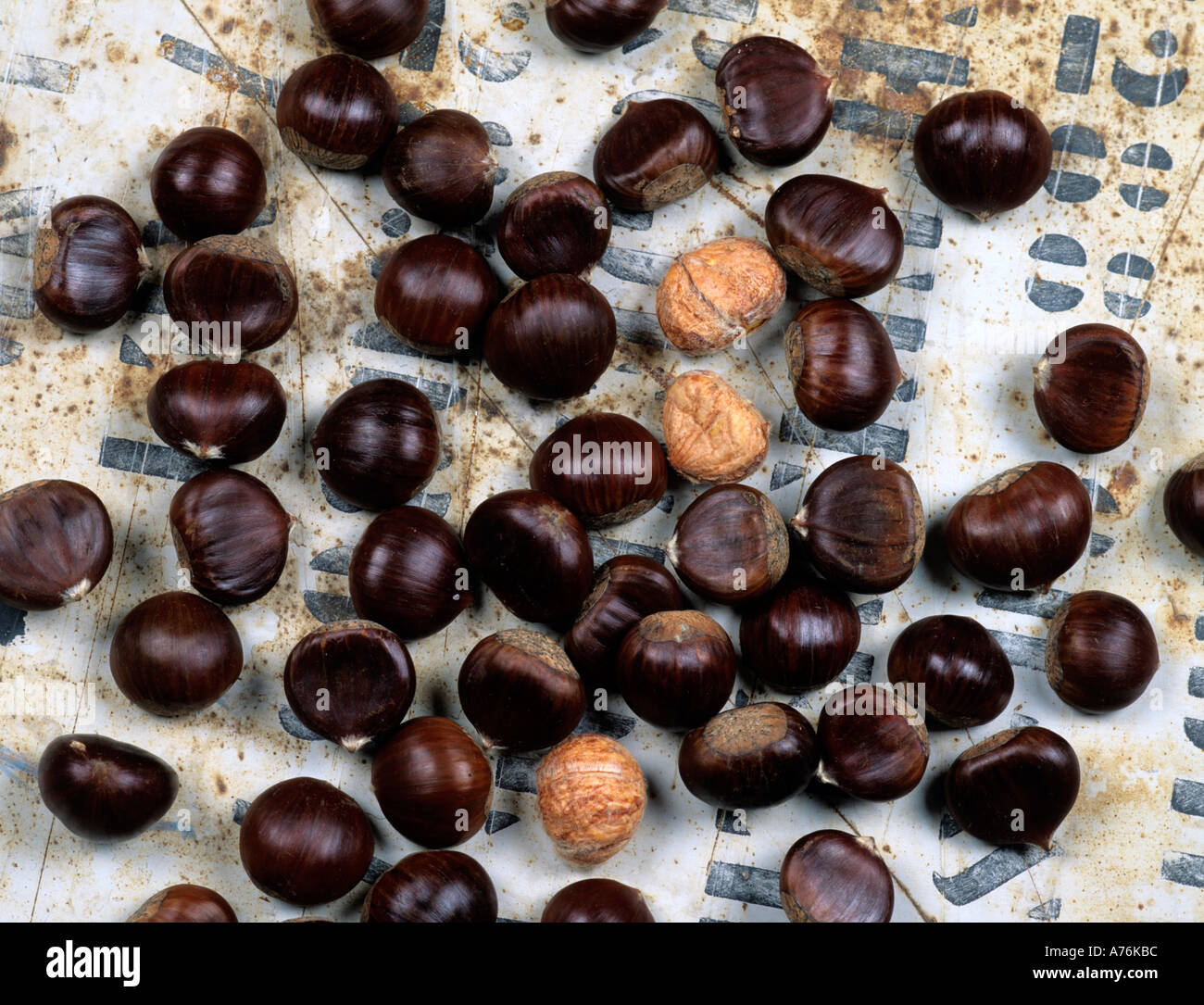 Maronen hi-res stock photography and images - Alamy