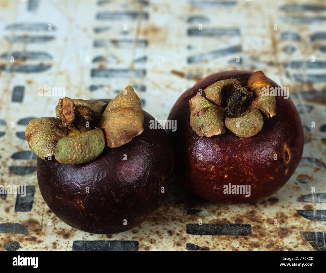 Mangostane Mangostana High Resolution Stock Photography and Images - Alamy
