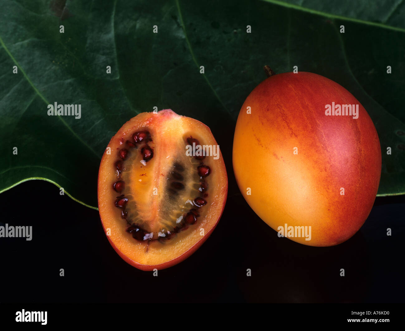 Baumtomate hi-res stock photography and images - Alamy