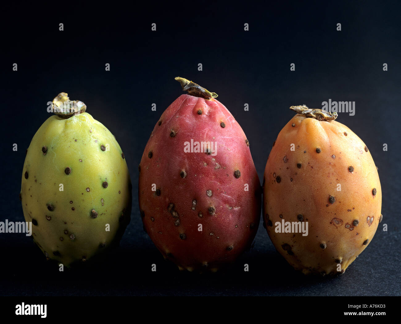 Kaktus Feigen High Resolution Stock Photography and Images - Alamy