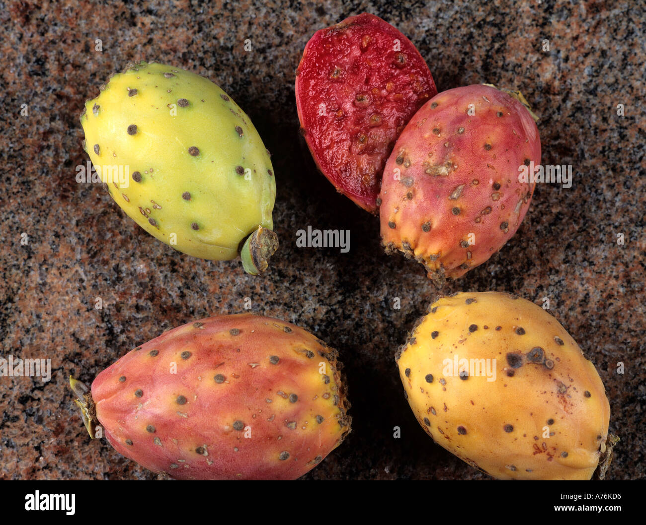Kaktus Feigen High Resolution Stock Photography and Images - Alamy