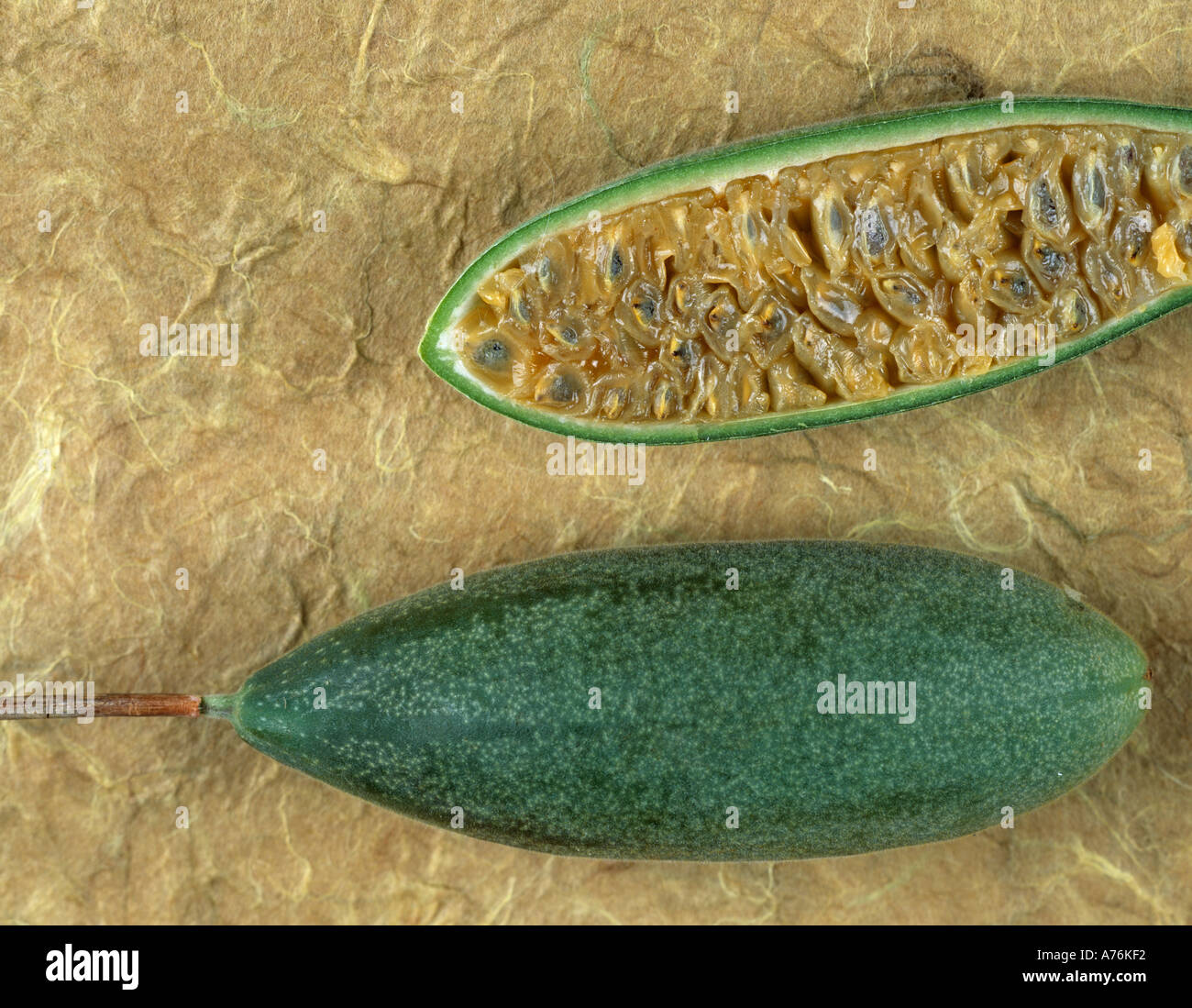 Curuba fruit hi-res stock photography and images - Alamy