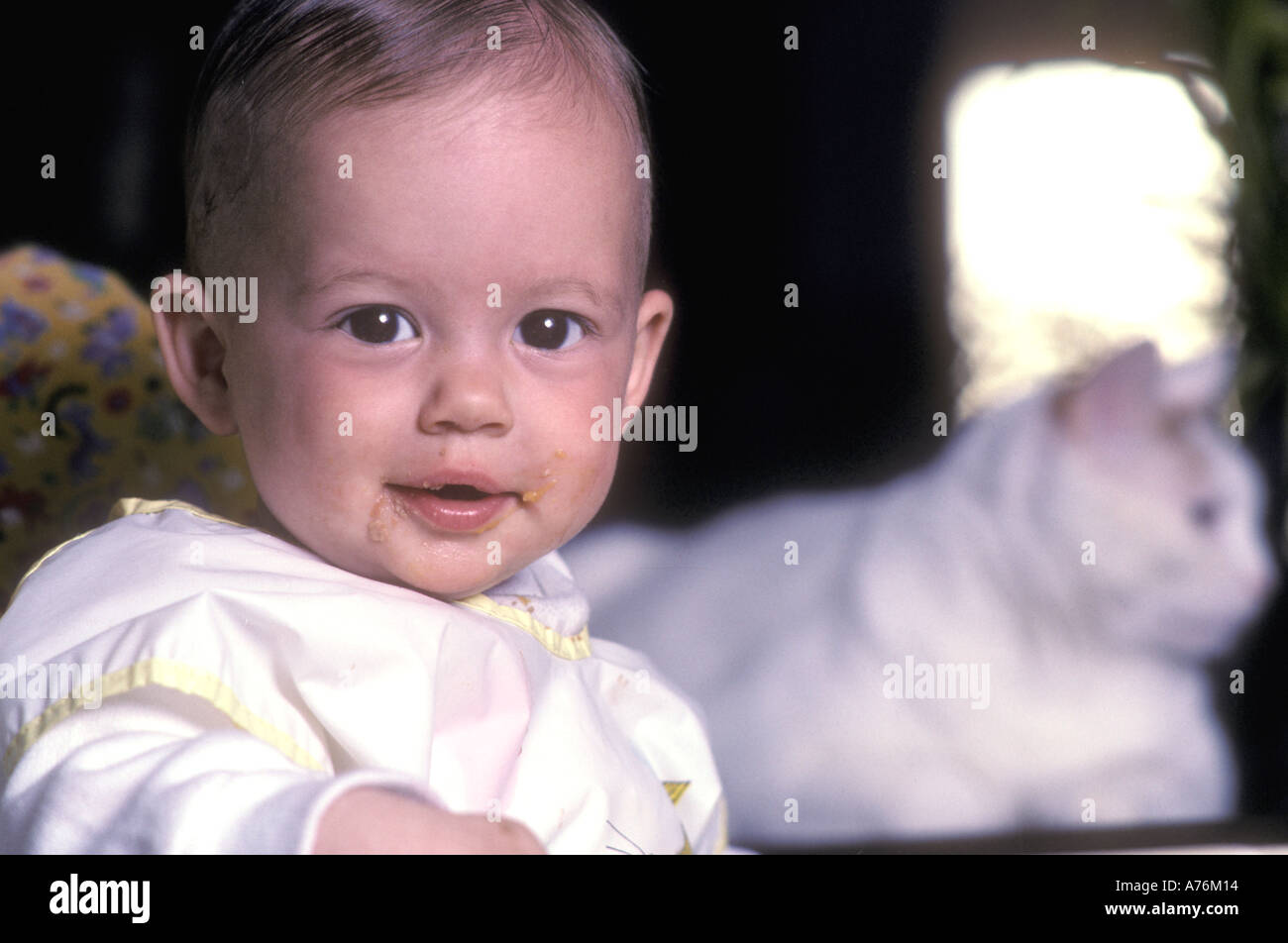 Infant cat hi-res stock photography and images - Alamy