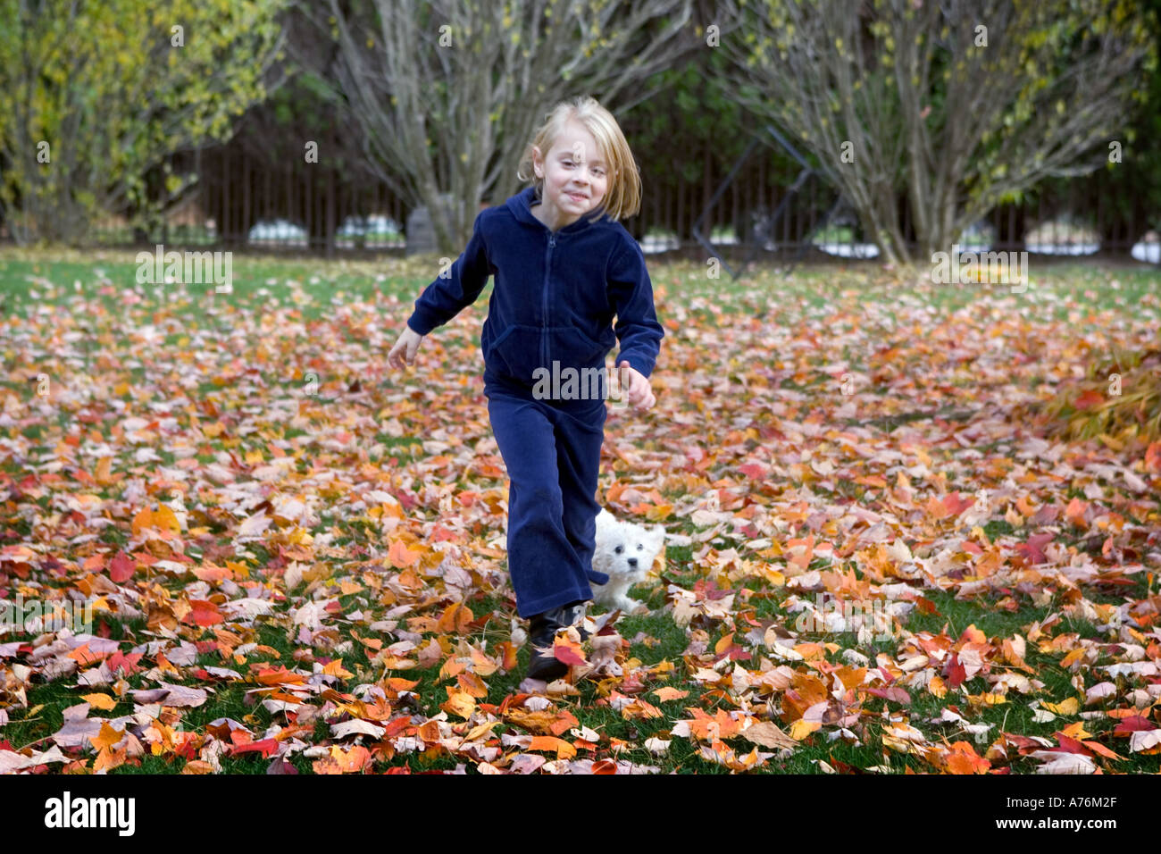 Child chasing dog hi-res stock photography and images - Alamy