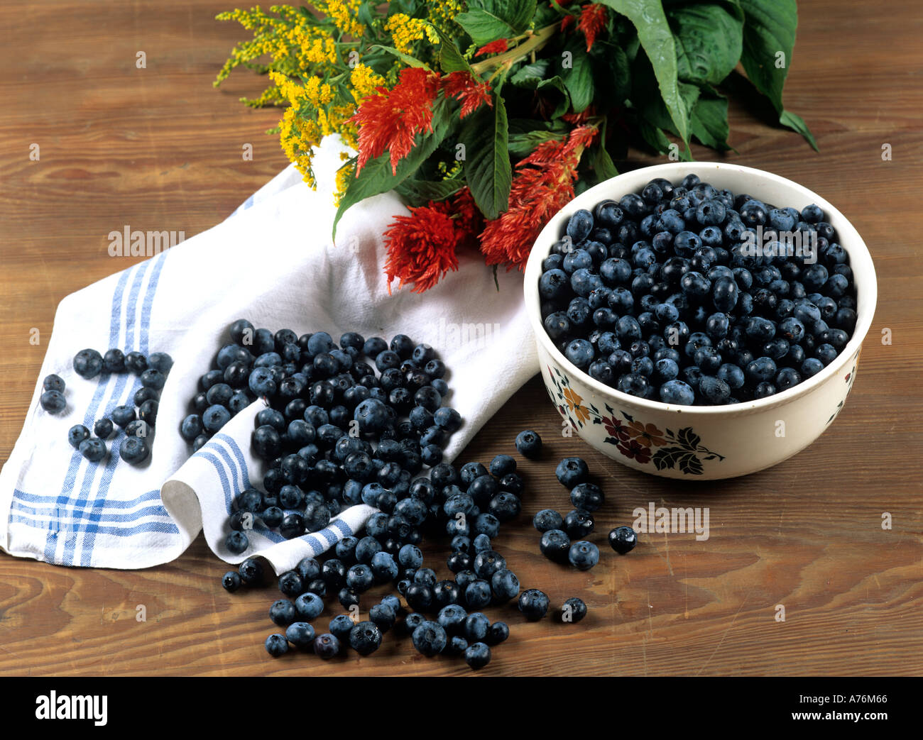 Blau beere hi-res stock photography and images - Alamy