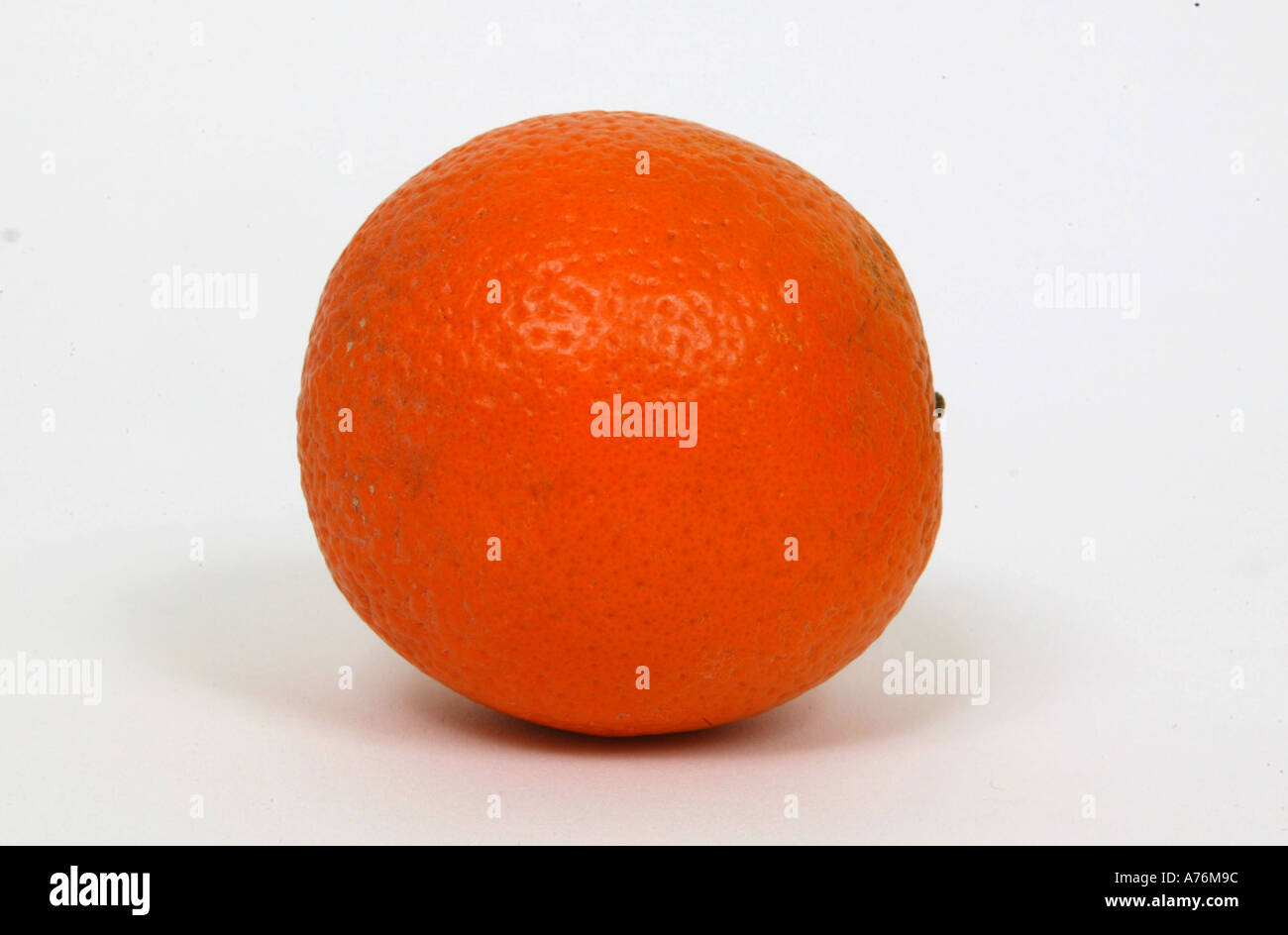 Orange Picture by Barry Bland Stock Photo - Alamy