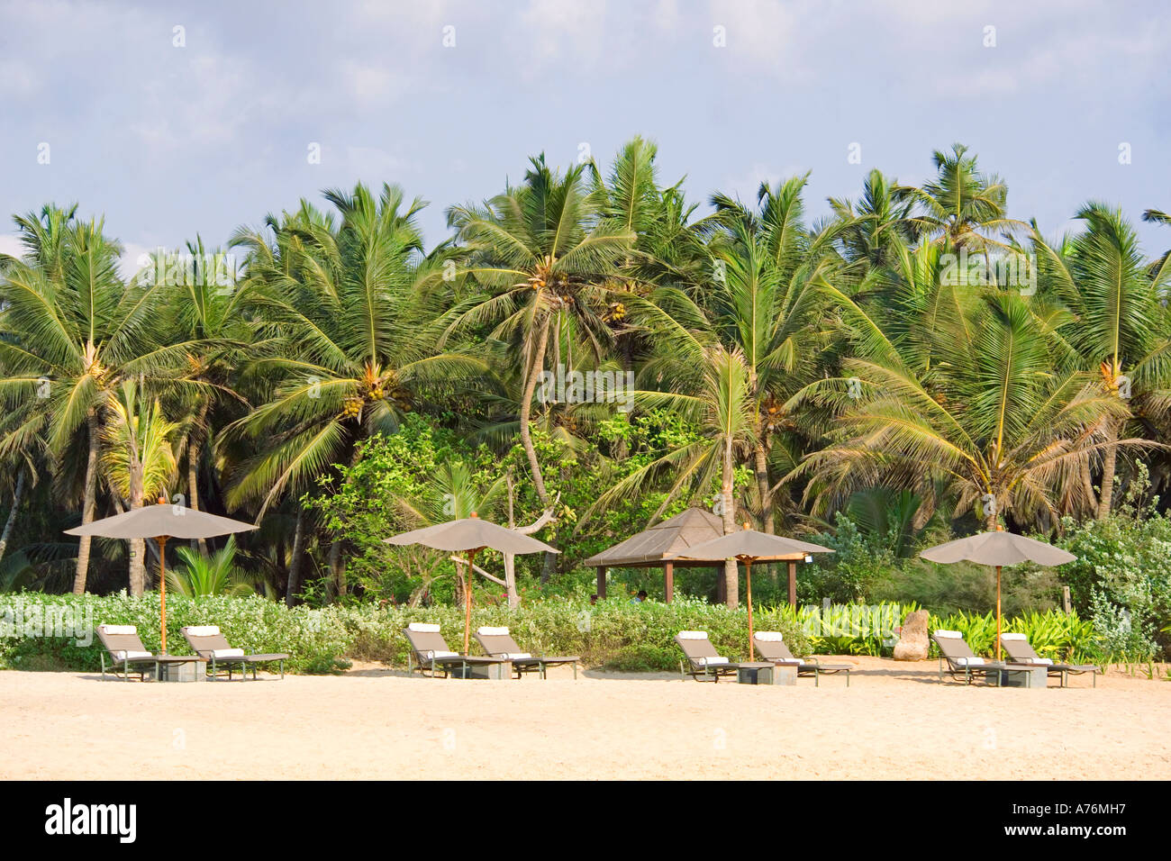 Sun loungers in goa hi-res stock photography and images - Alamy