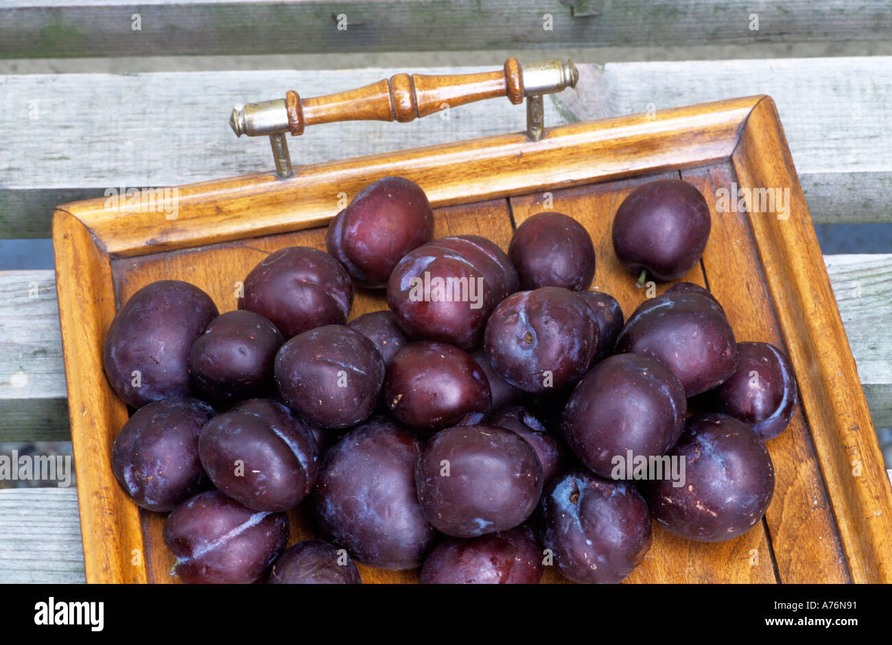 Pflaume Pflaumen Plum Plums Stock Photo - Alamy