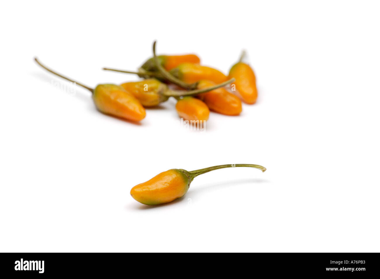 Aji Pinguita de mono chilli on white background Stock Photo - Alamy