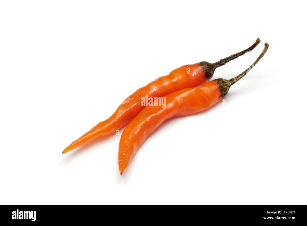2 two Orange Japones chilli on white background Stock Photo - Alamy