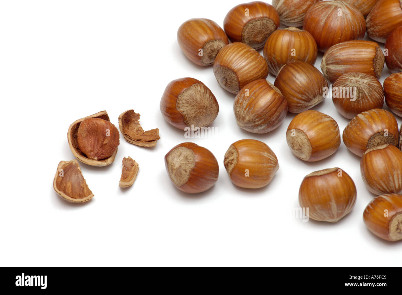 Strewn Hazel nuts with one cracked open on white background Stock Photo ...