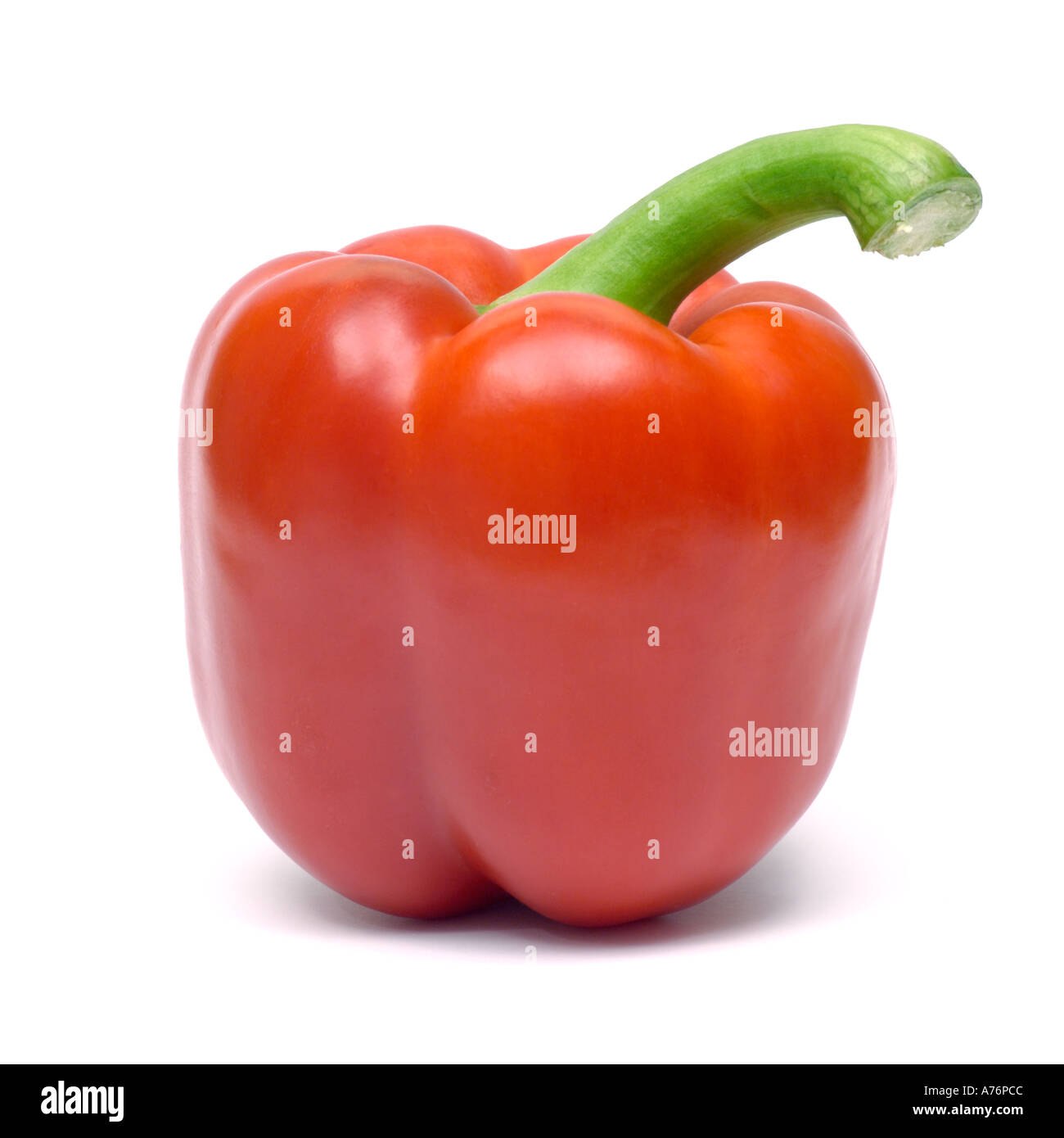 Red pepper chilli capsicum on white background Stock Photo - Alamy
