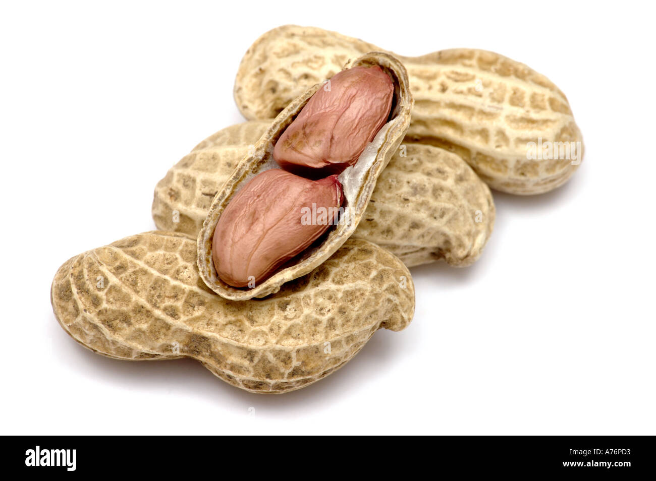 Roasted monkey nuts with one cracked open on white background Stock ...