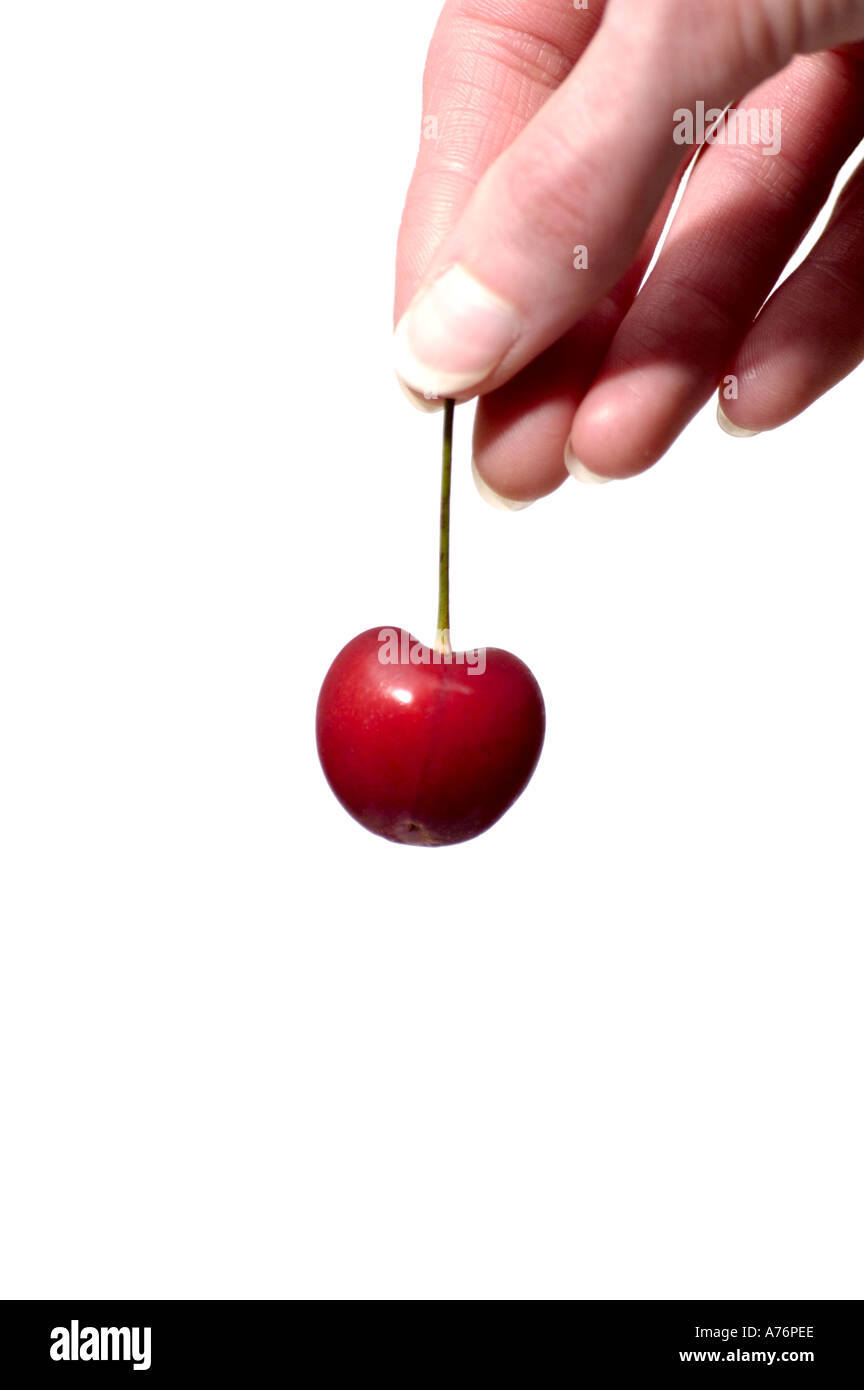 Fingers holding bright red cherry fruit on white background Stock Photo ...