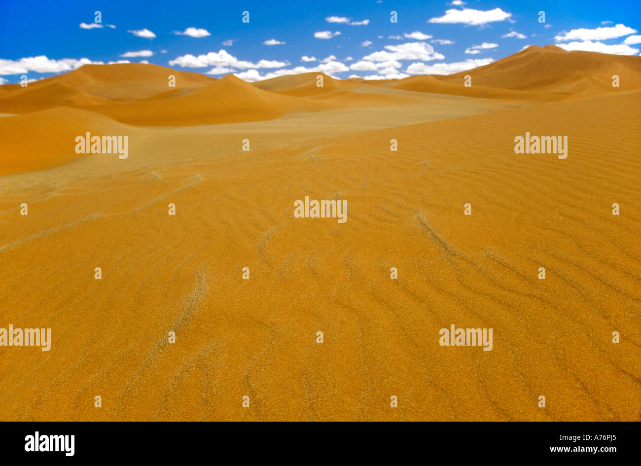 Close focus wide angle view of the Namibian desert landscape with ...