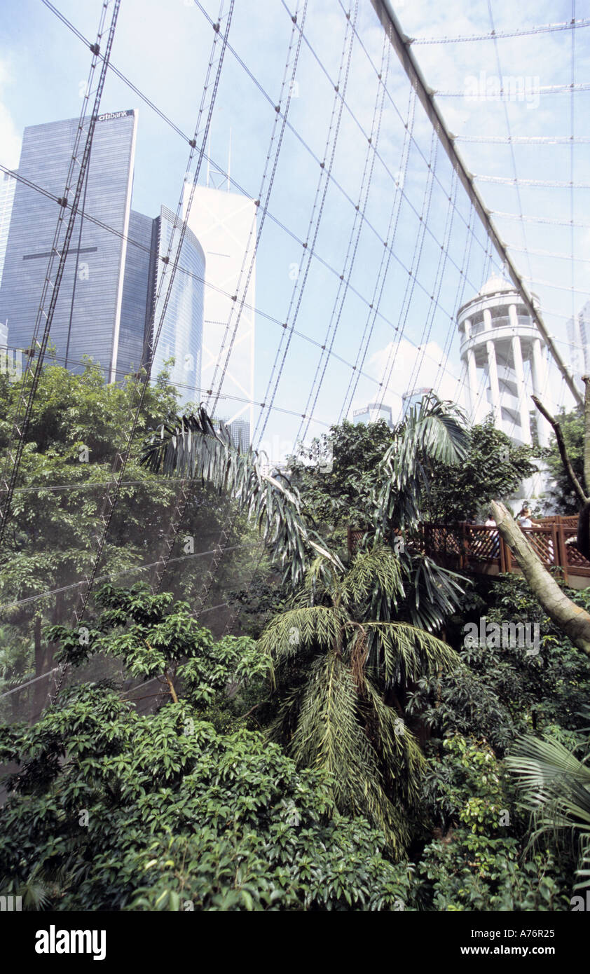 Asien Asia China Hongkong Hong Kong Island Chung Wan Central District ...