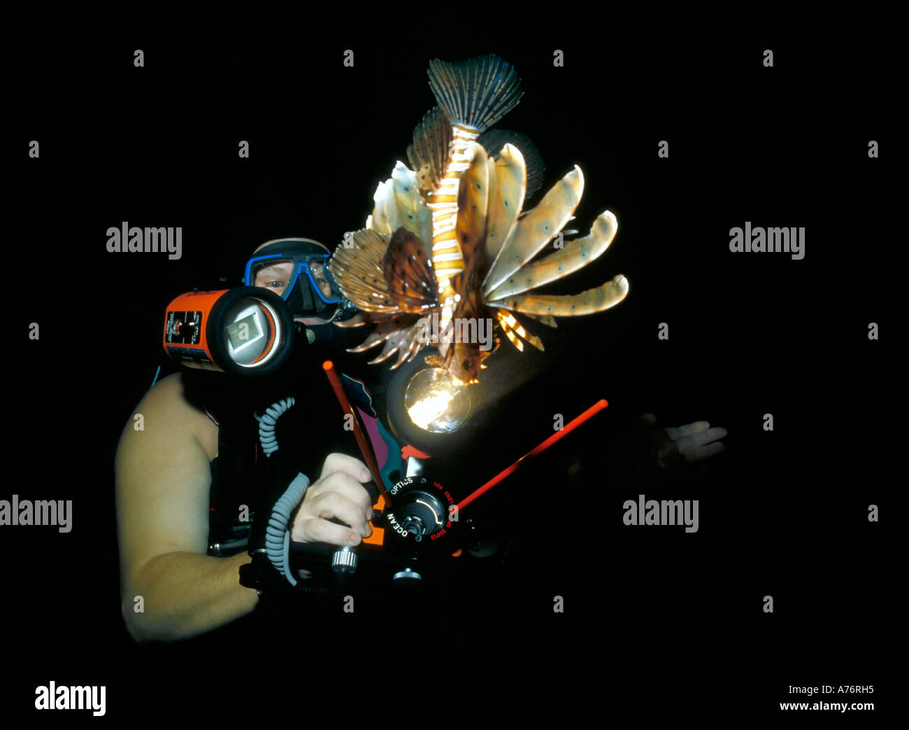 An underwater photographer at work taking macro pictures of a lion fish ...