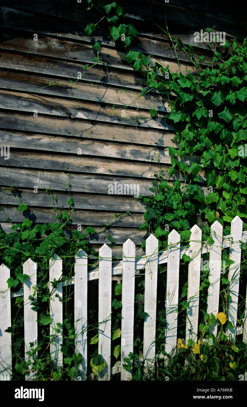 White picket fence Cass Scenic Railroad state park West Virginia USA ...