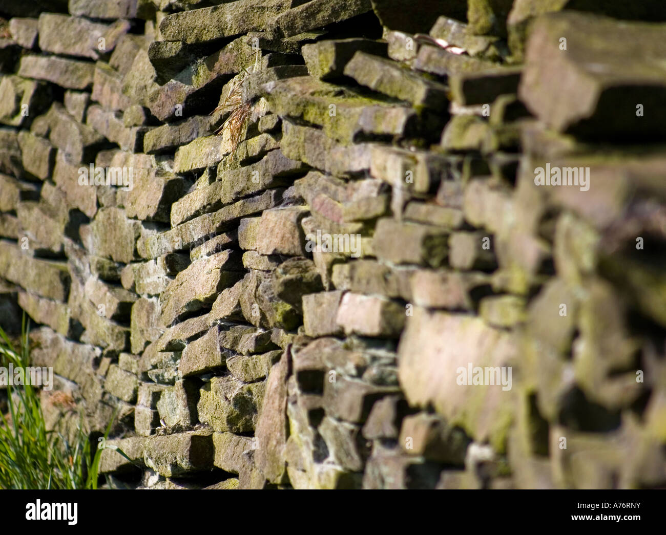 Dry stone wall on the Pennine Moors near Halifax West Yorkshire UK ...