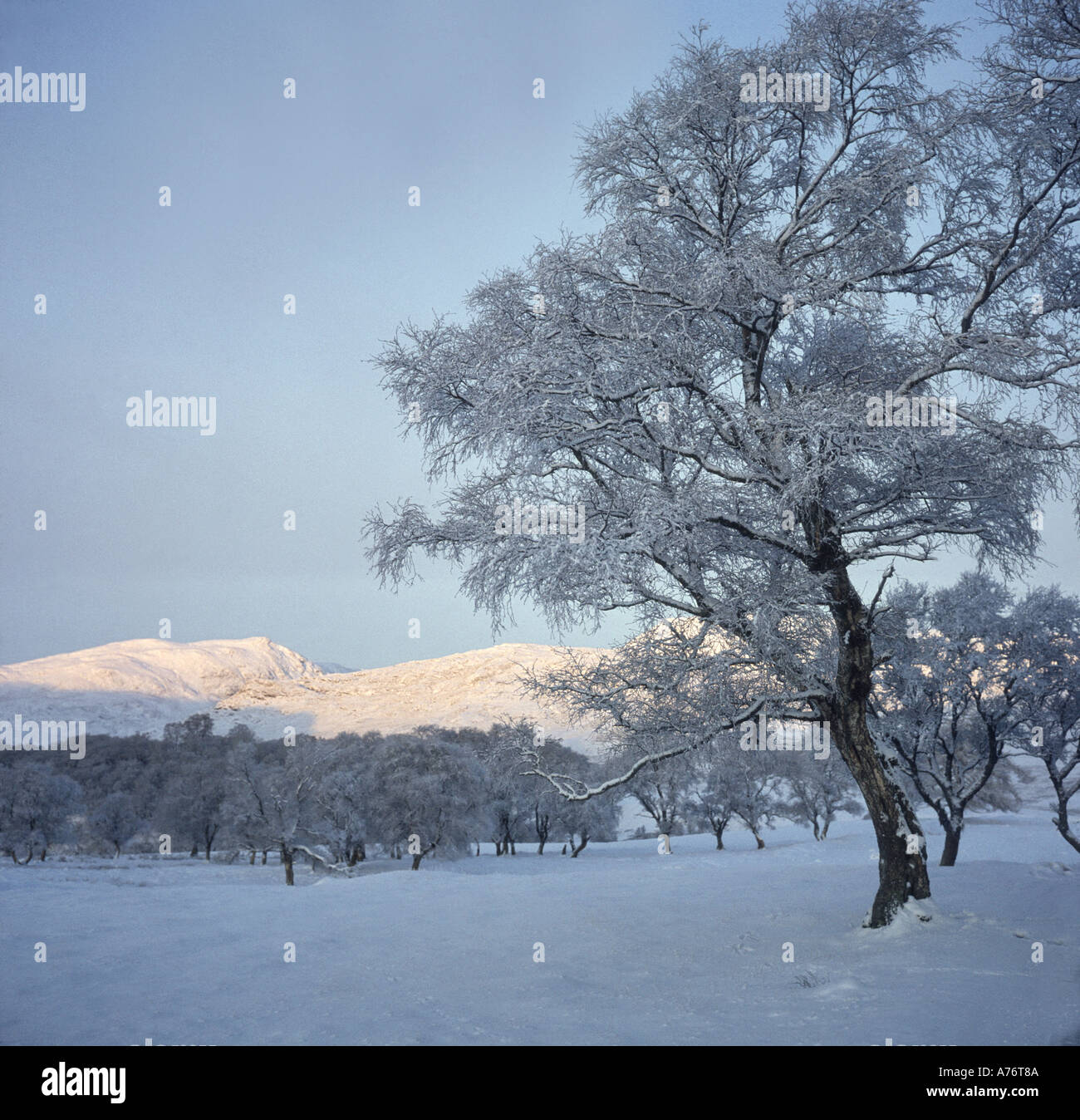 Winter in StrathSpey Stock Photo - Alamy